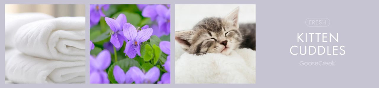 Kitten Cuddles 3-Docht-Kerze 411g, 22,50